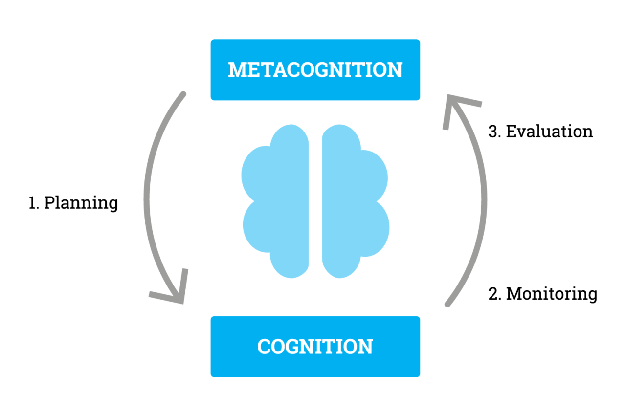 About Metacognition | Ciribloom